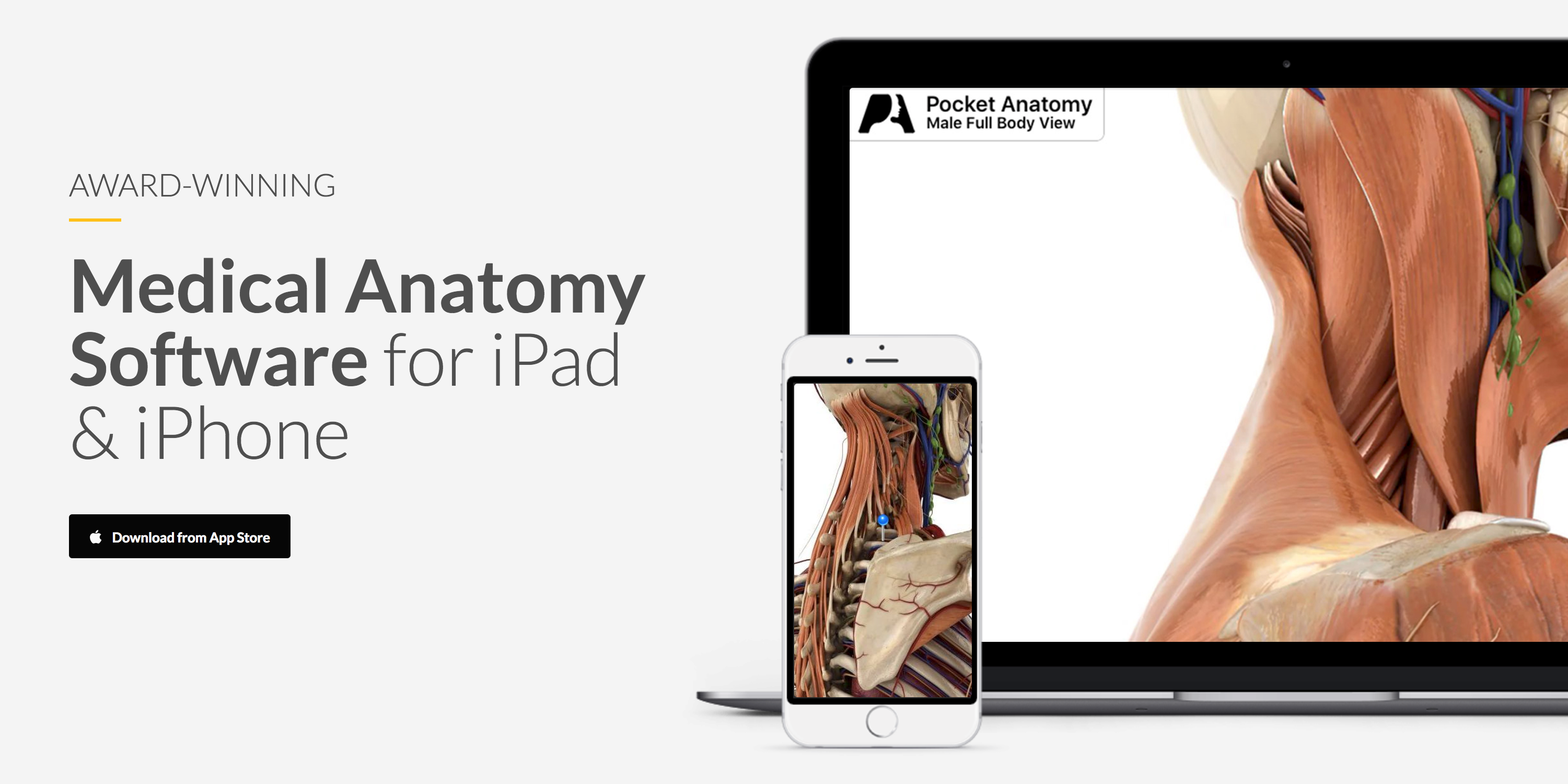 The popular Pocket Anatomy for iOS now matching all-time low at $1 (Reg ...