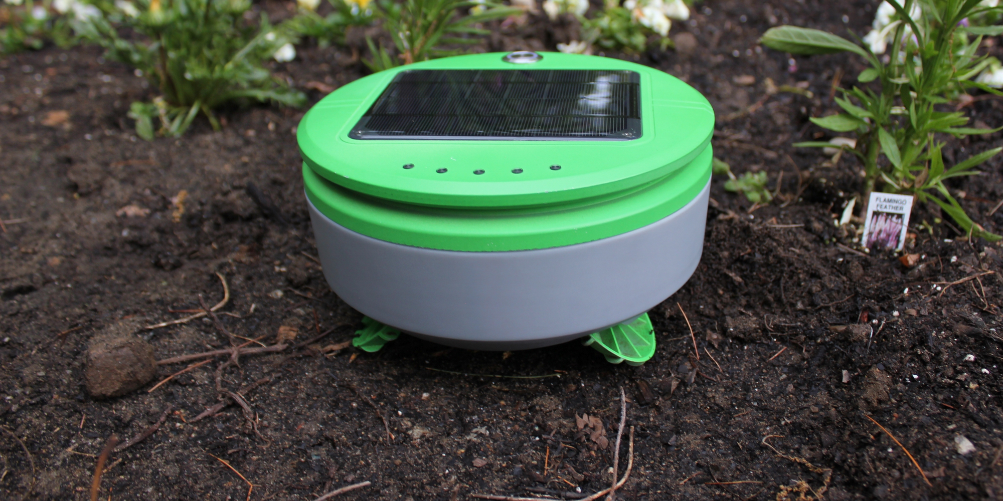 Tertill autonomously tames those pesky weeds to keep your garden ...