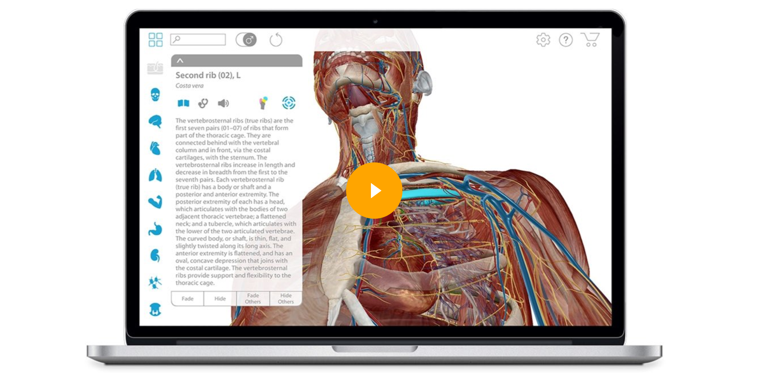 Human Anatomy Atlas hits lowest price ever on App Store at $1 (Reg. $25)