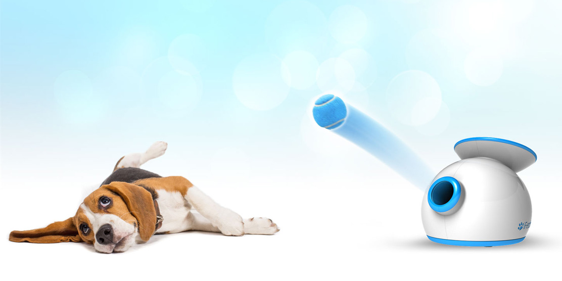 The coolest pet gadgets that you need to get today
