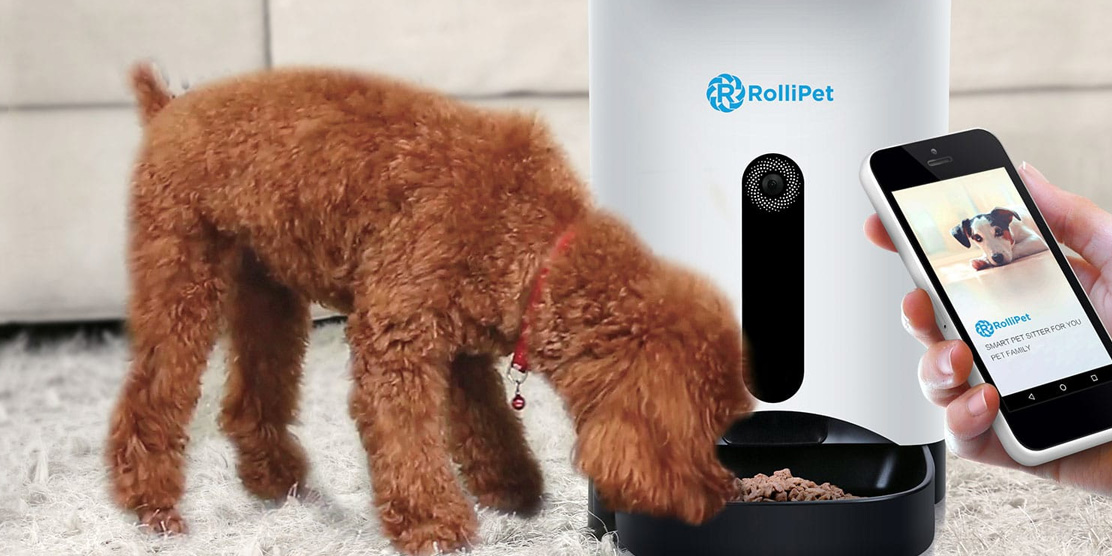 The coolest pet gadgets that you need to get today