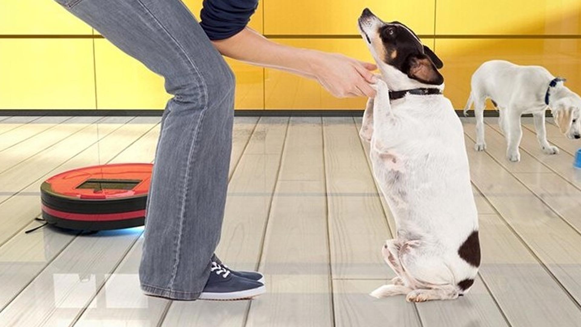 Keep your home clean w/ bObsweep's PetHair vacuum & mop: $190 (Reg ...