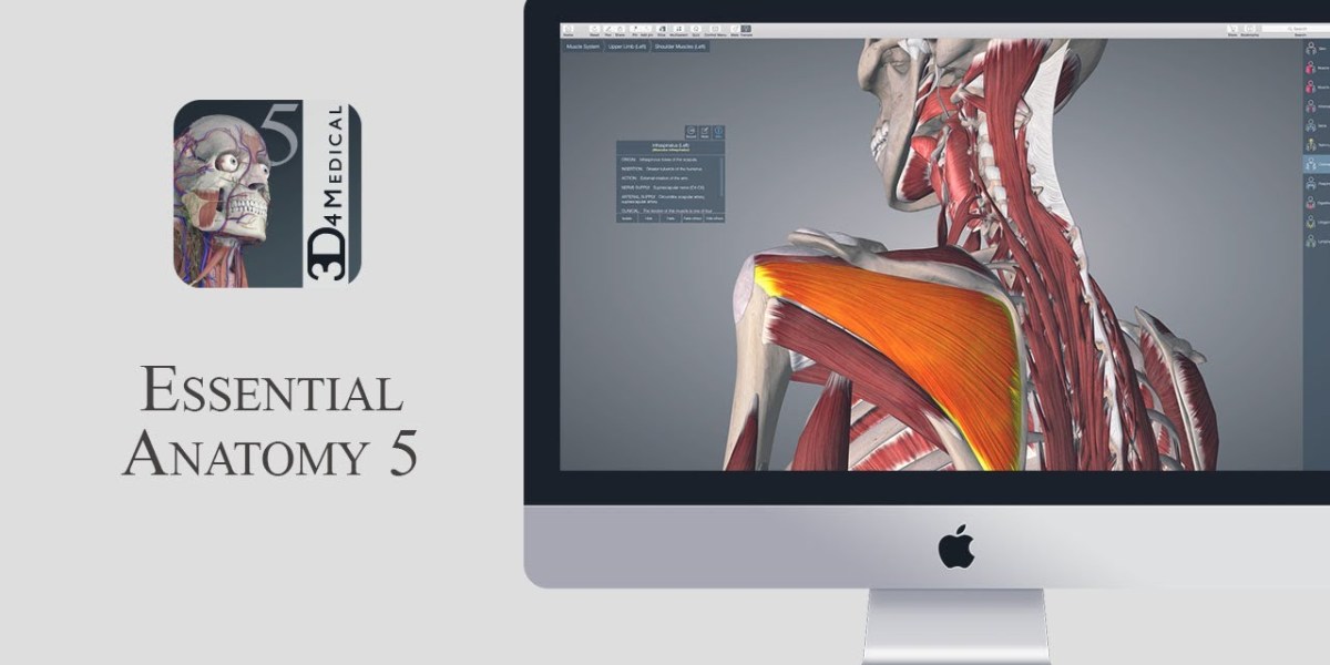 Essential Anatomy 5 for Mac now matching all-time low at $15 (50% off)