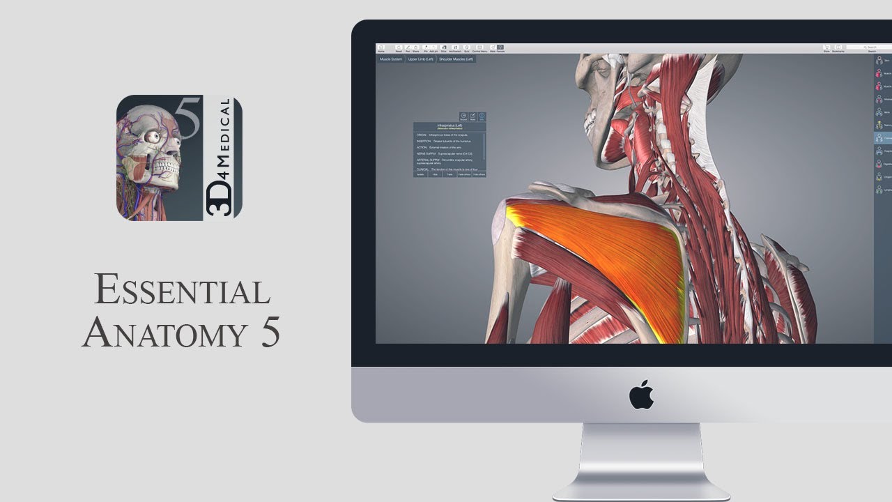 Essential Anatomy 5 for Mac now matching all-time low at $15 (50% off)