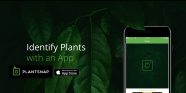 Highly rated PlantSnap Identification App Gets Rare 50 Price Drop On Highly rated PlantSnap Identification App Gets Rare 50 Price Drop On