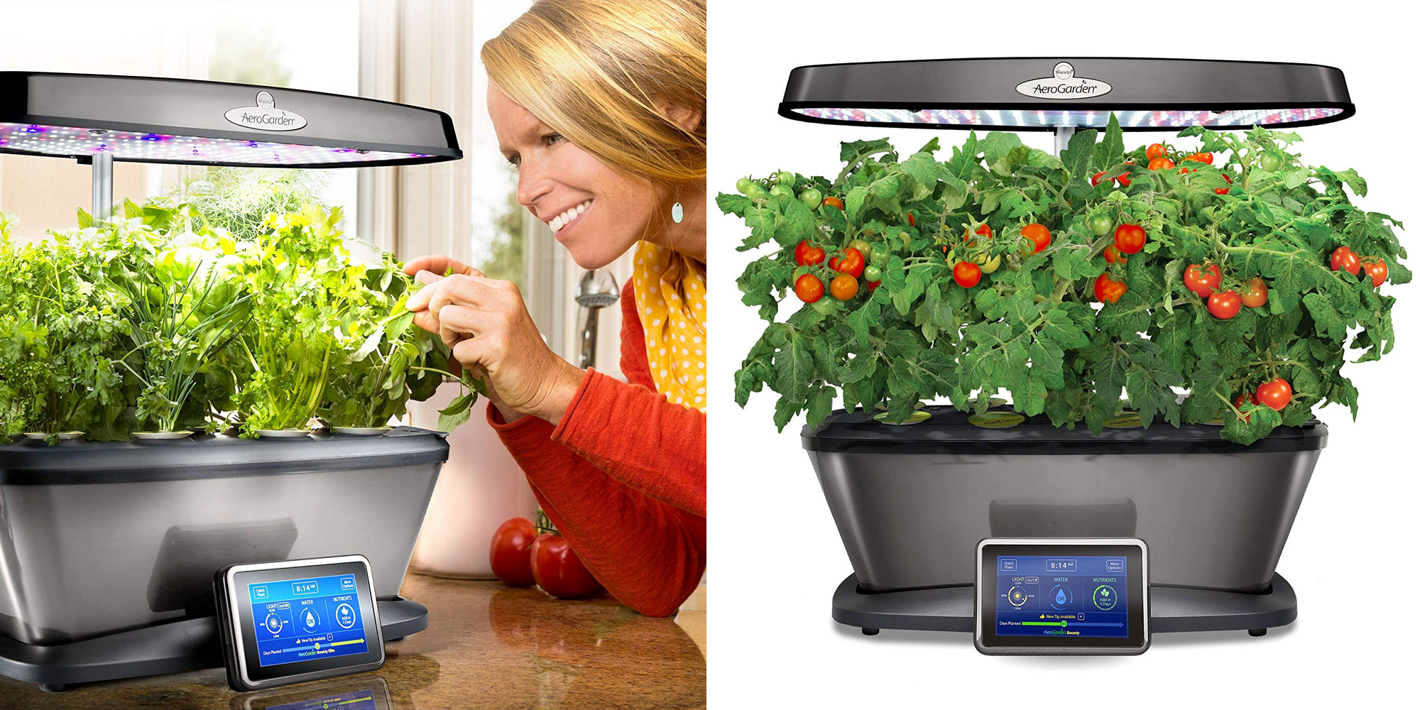 Grow herbs all winter with these discounted AeroGarden Kits from $100 ...