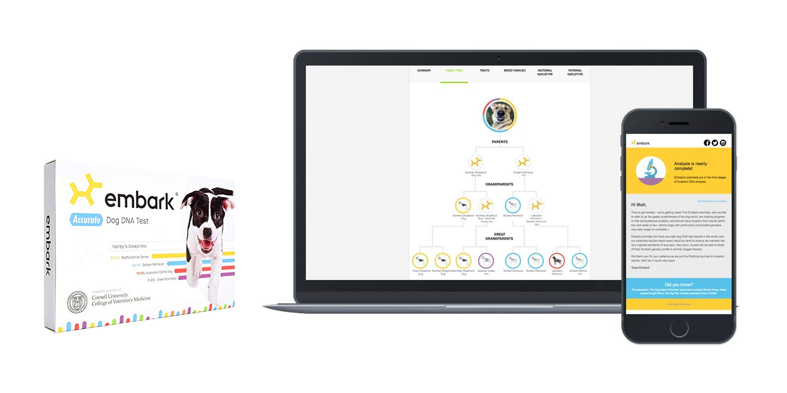 Get to know your pet better with the Embark Dog DNA Test Kit for $129 ...