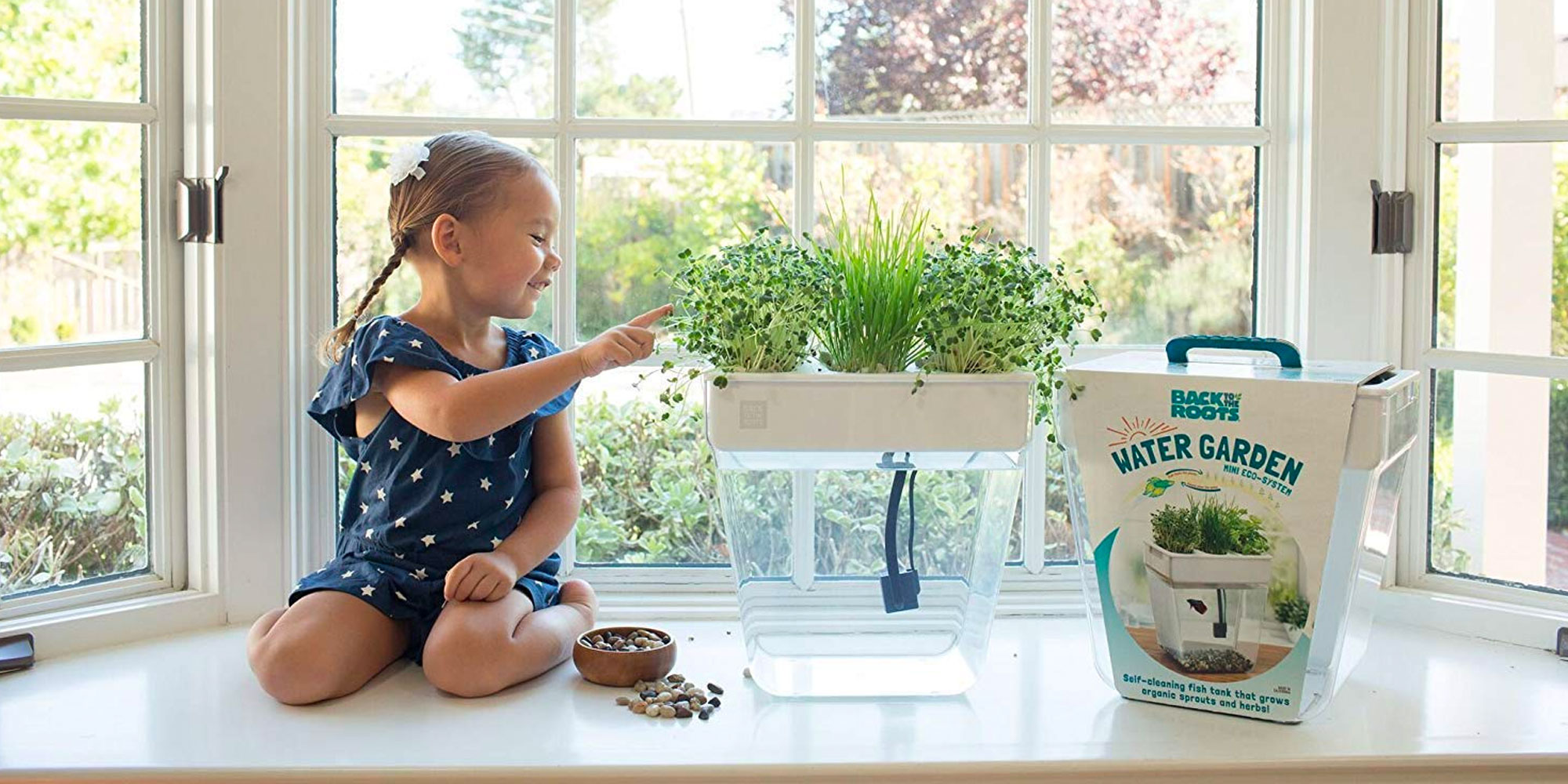 Give life to any room w/ the #1 best-selling Back to the Roots Water ...