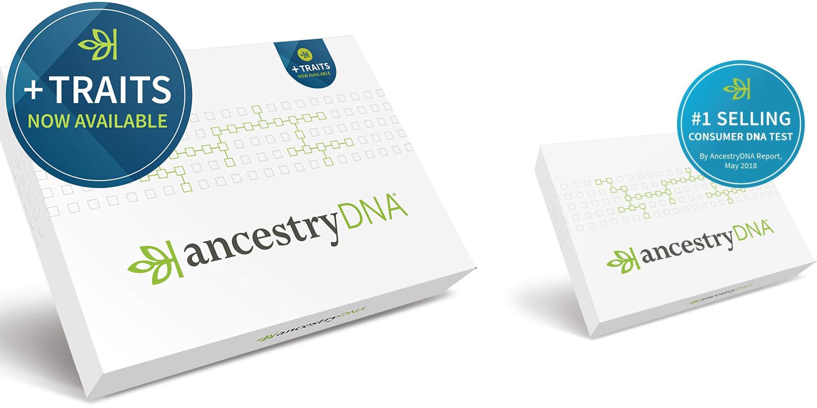 Research your rich family history with this AncestryDNA Testing Kit for ...