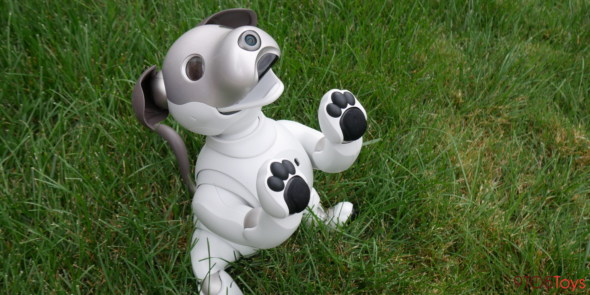Sony aibo review: a look into the future of home robotics - 9to5Toys