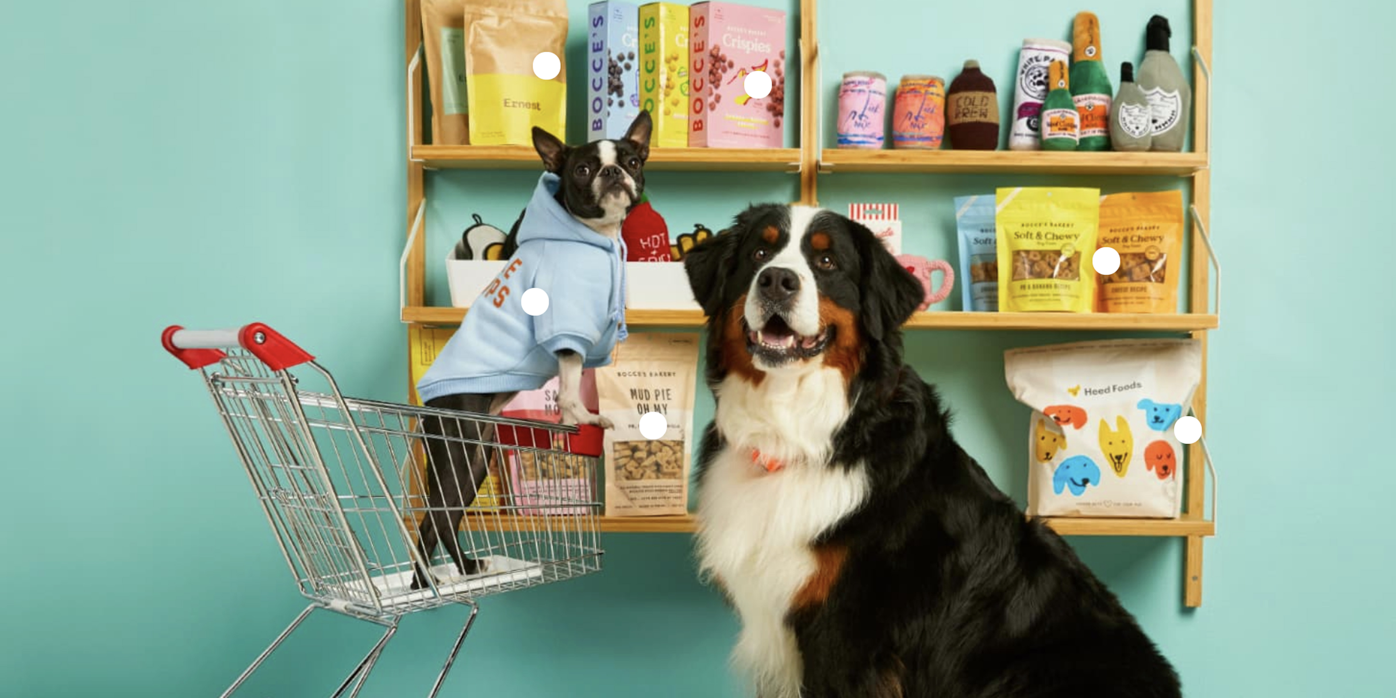 The Nordstrom Pet Pop-Up Shop is live with hundreds of - 9to5Toys