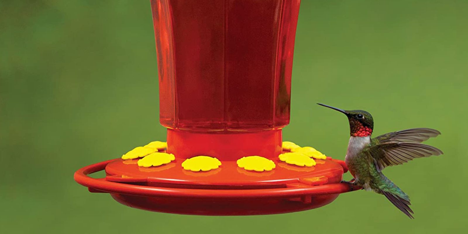 At $6, First Nature's Hummingbird Feeder is a steal (Reg. up to $40 ...