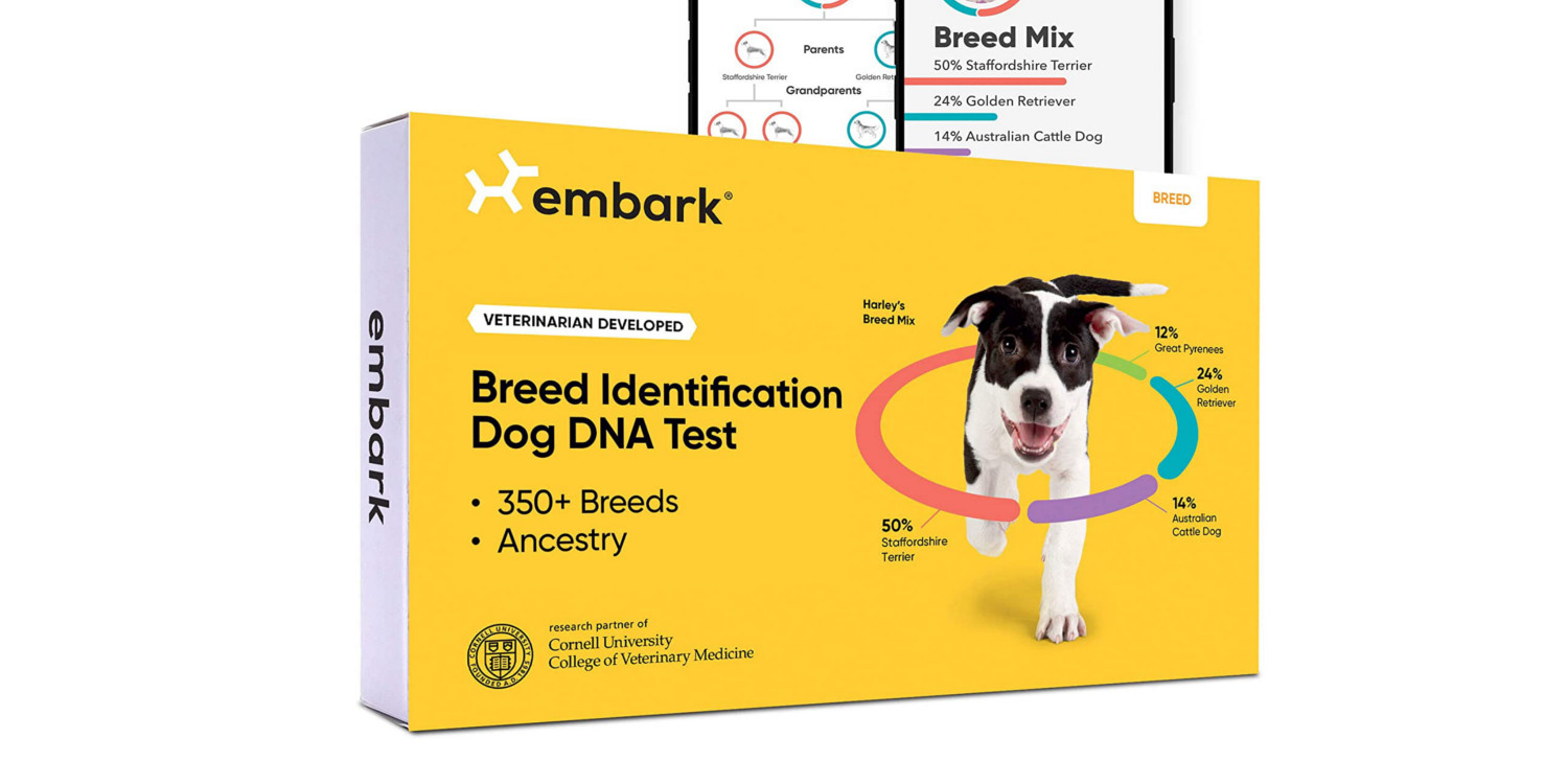 Doggy DNA test kits + relative finders now 32% off at Amazon (Today only)