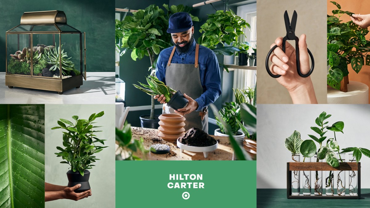 Hilton Carter Deals and Promo Codes - 9to5Toys