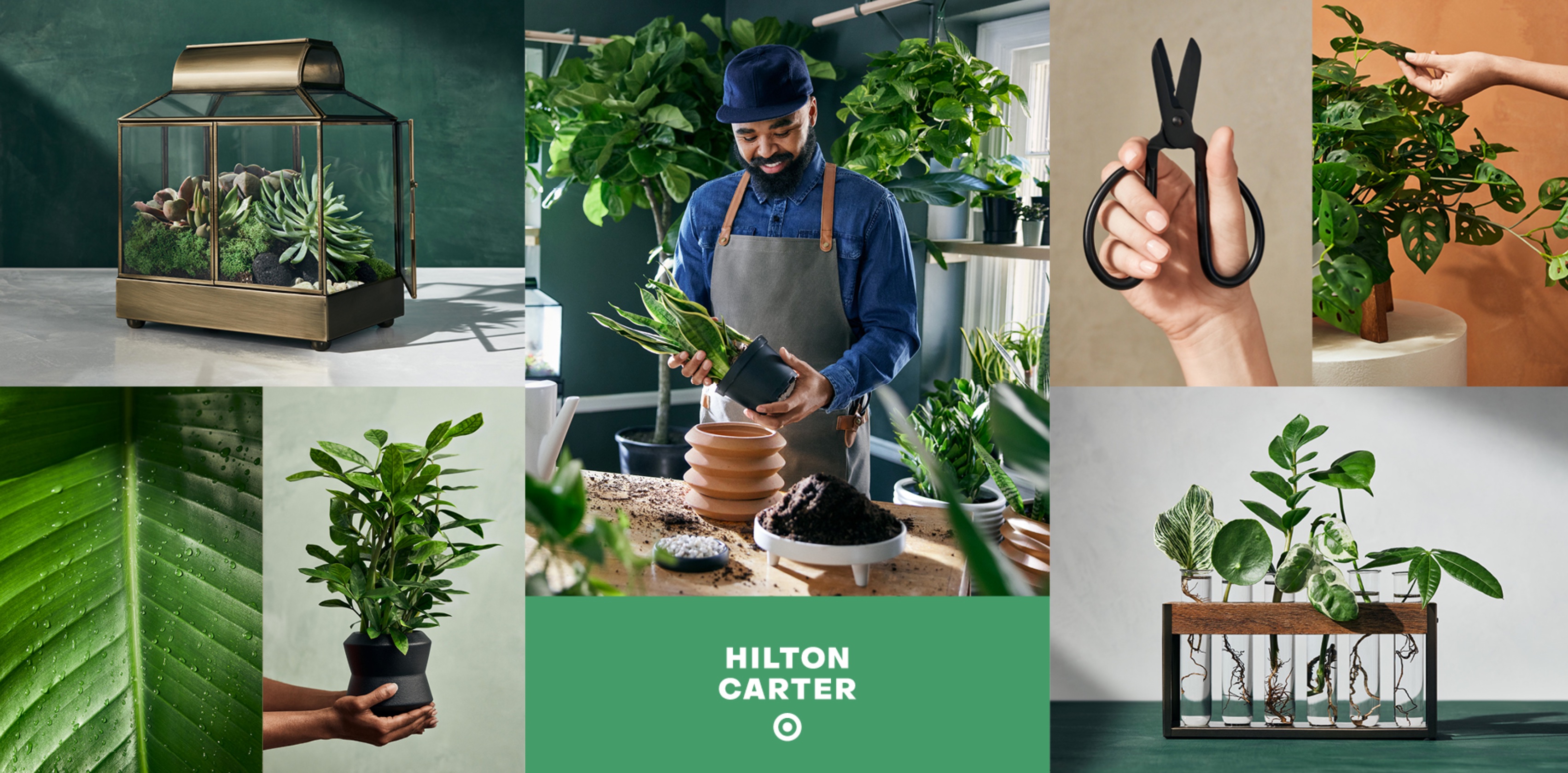 Plant lovers will love the Target x Hilton Carter collection - 9to5Toys