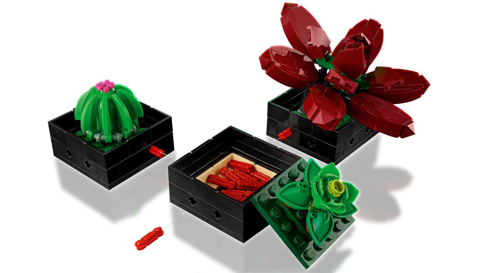 LEGO Succulents and Orchid join the Botanical Garden lineup - 9to5Toys