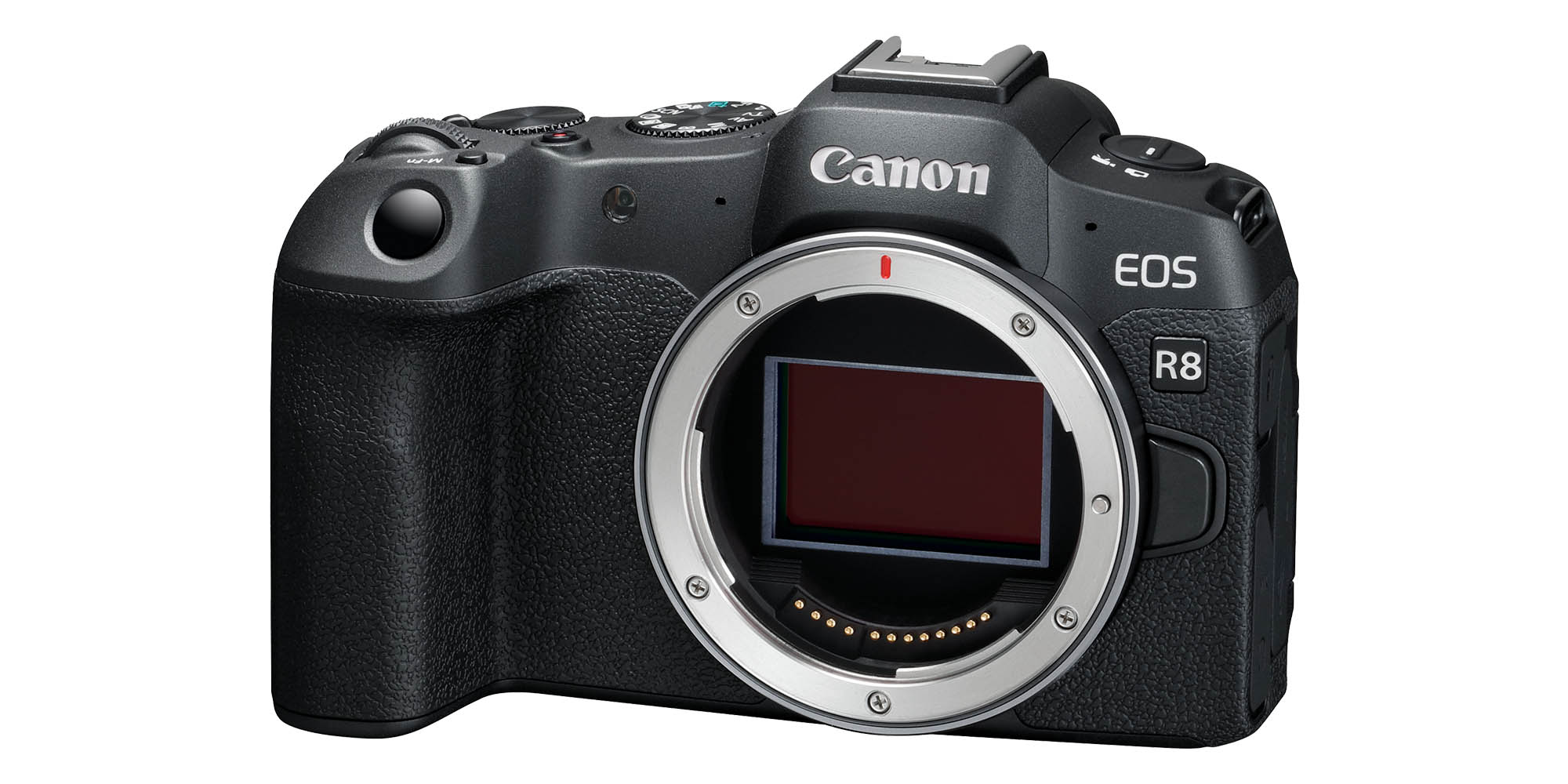 Canon launching new EOS R50 and R8 mirrorless cameras