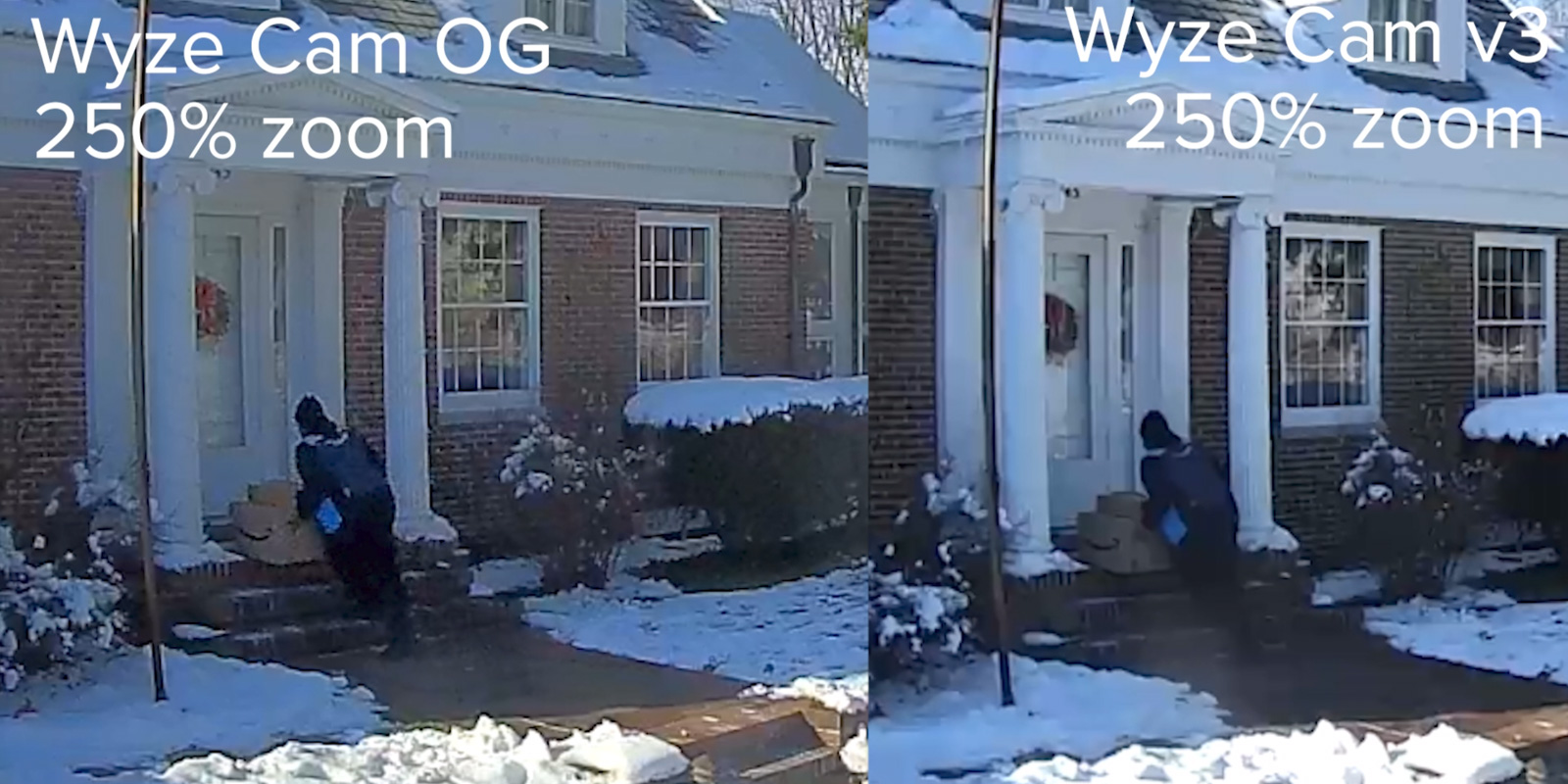 Wyze Cam OG, Telephoto, and Cam Pan v3 review
