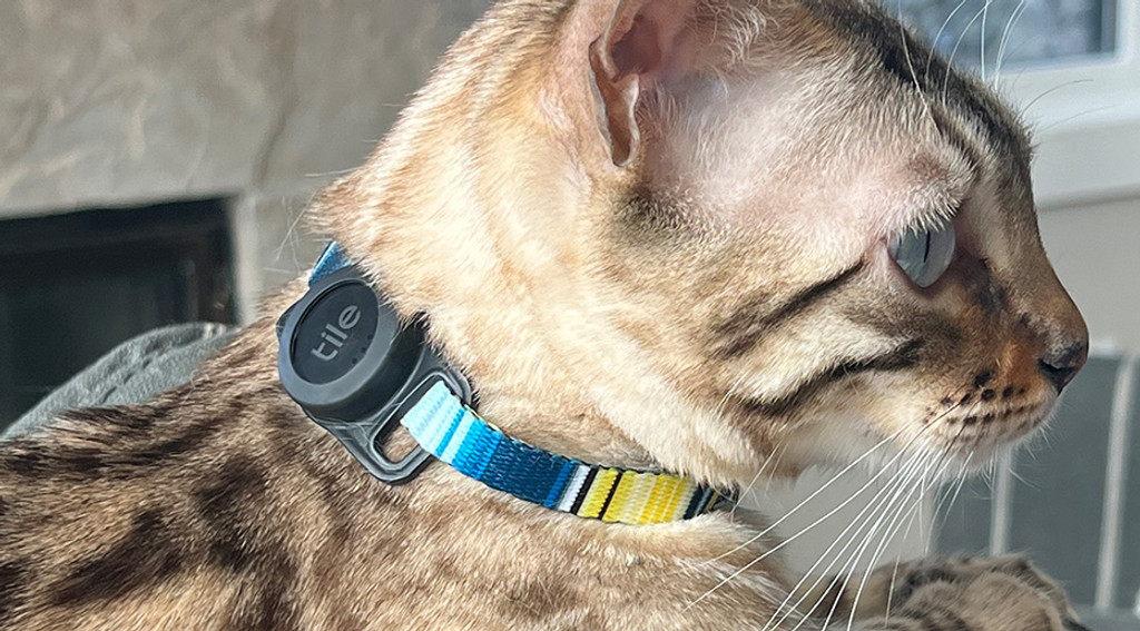 Tile for Cats: Keep tabs on your adventurous furry friend