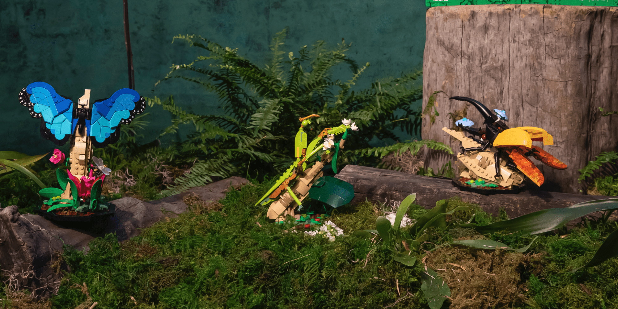 LEGO Ideas Insect Collection stacks up to 1,111 pieces