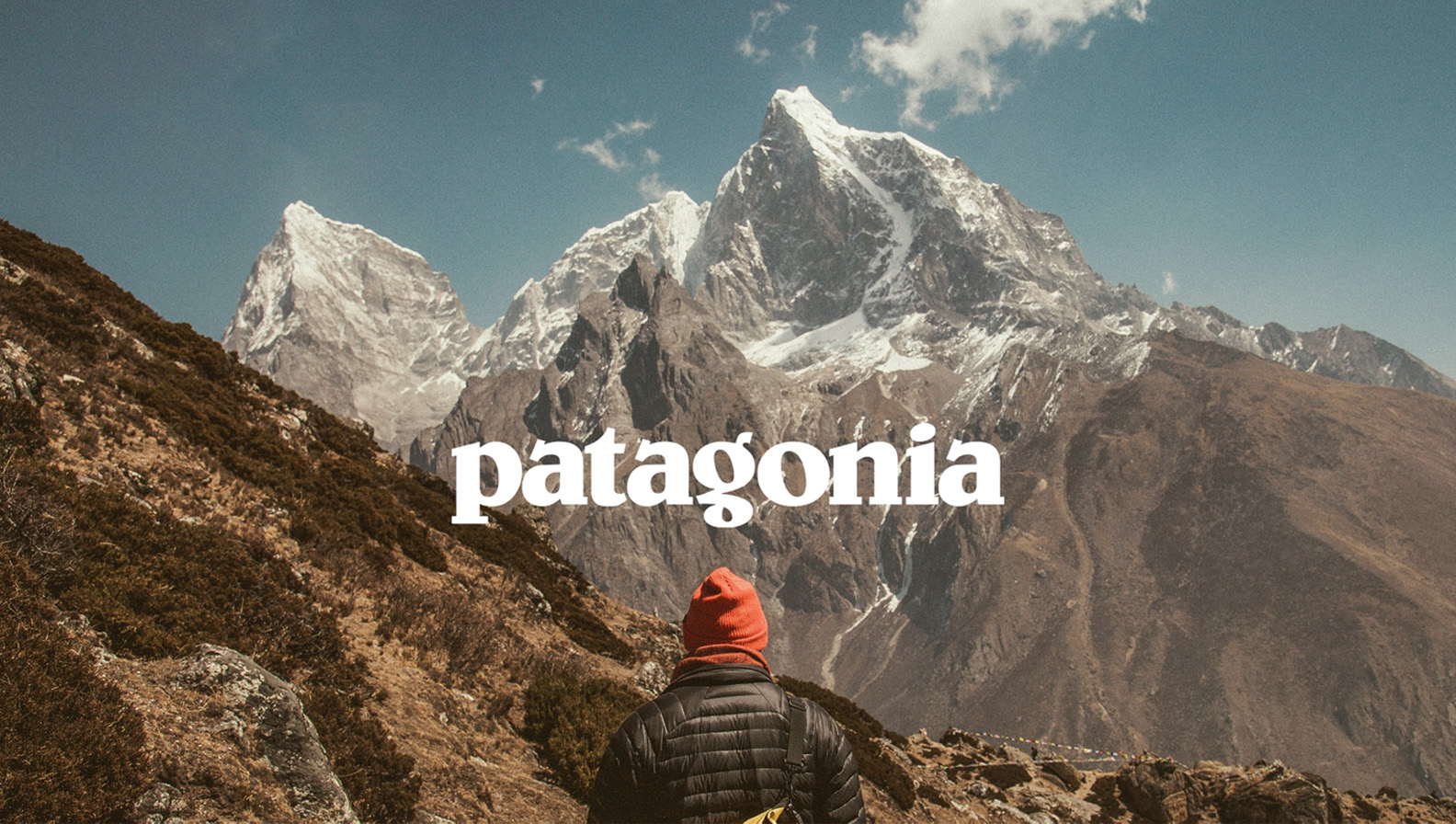 Patagonia's End of Season Sale takes up to 50% off hundreds of best ...