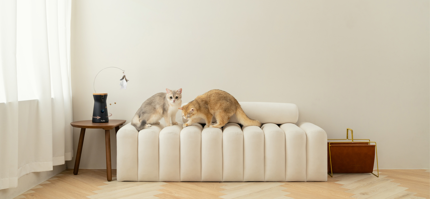 Furbo's new smart cat cam with meow sensor, wand toy, and treat-tossing ...