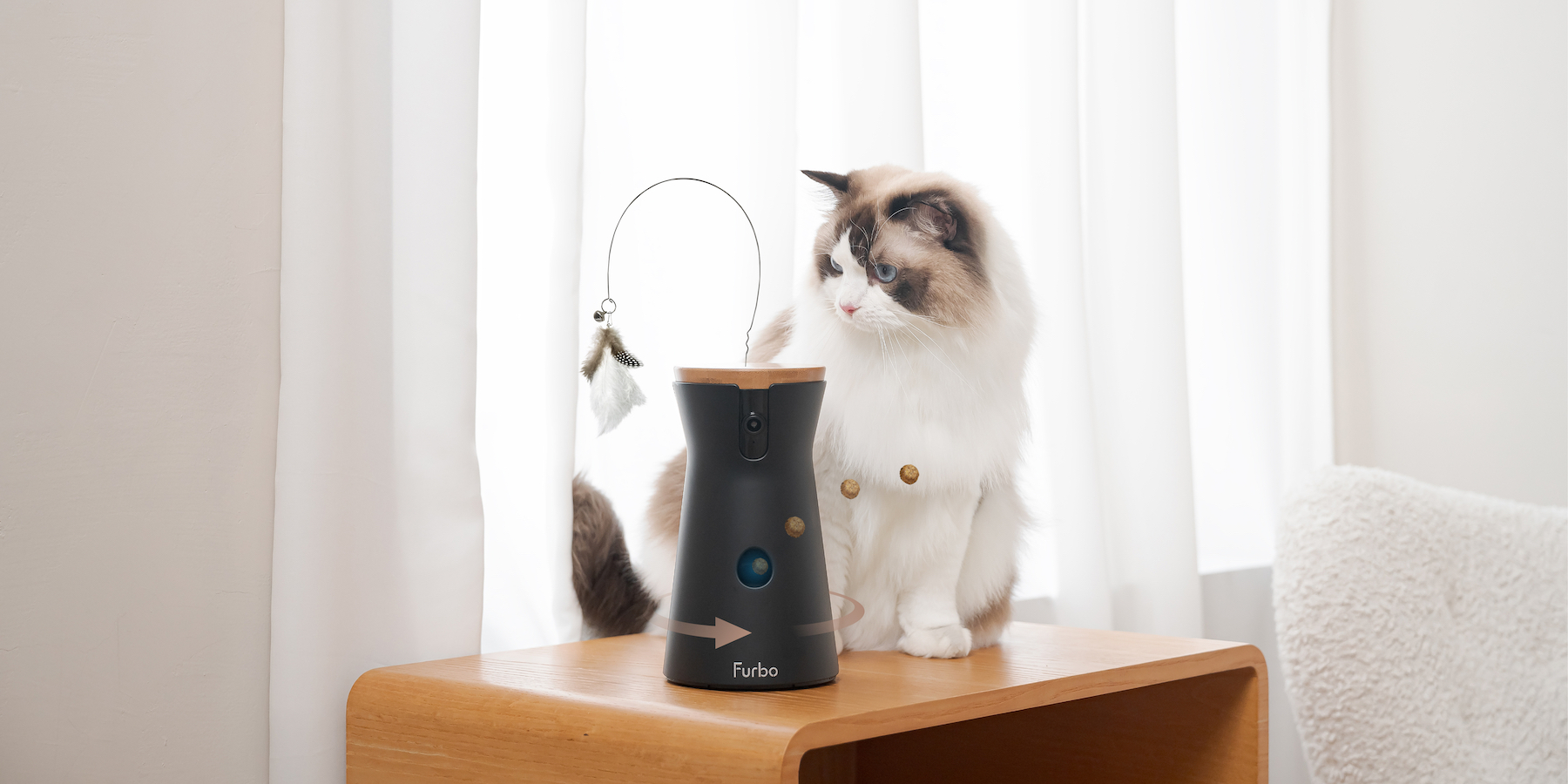 Furbo's new smart cat cam with meow sensor, wand toy, and treat-tossing ...