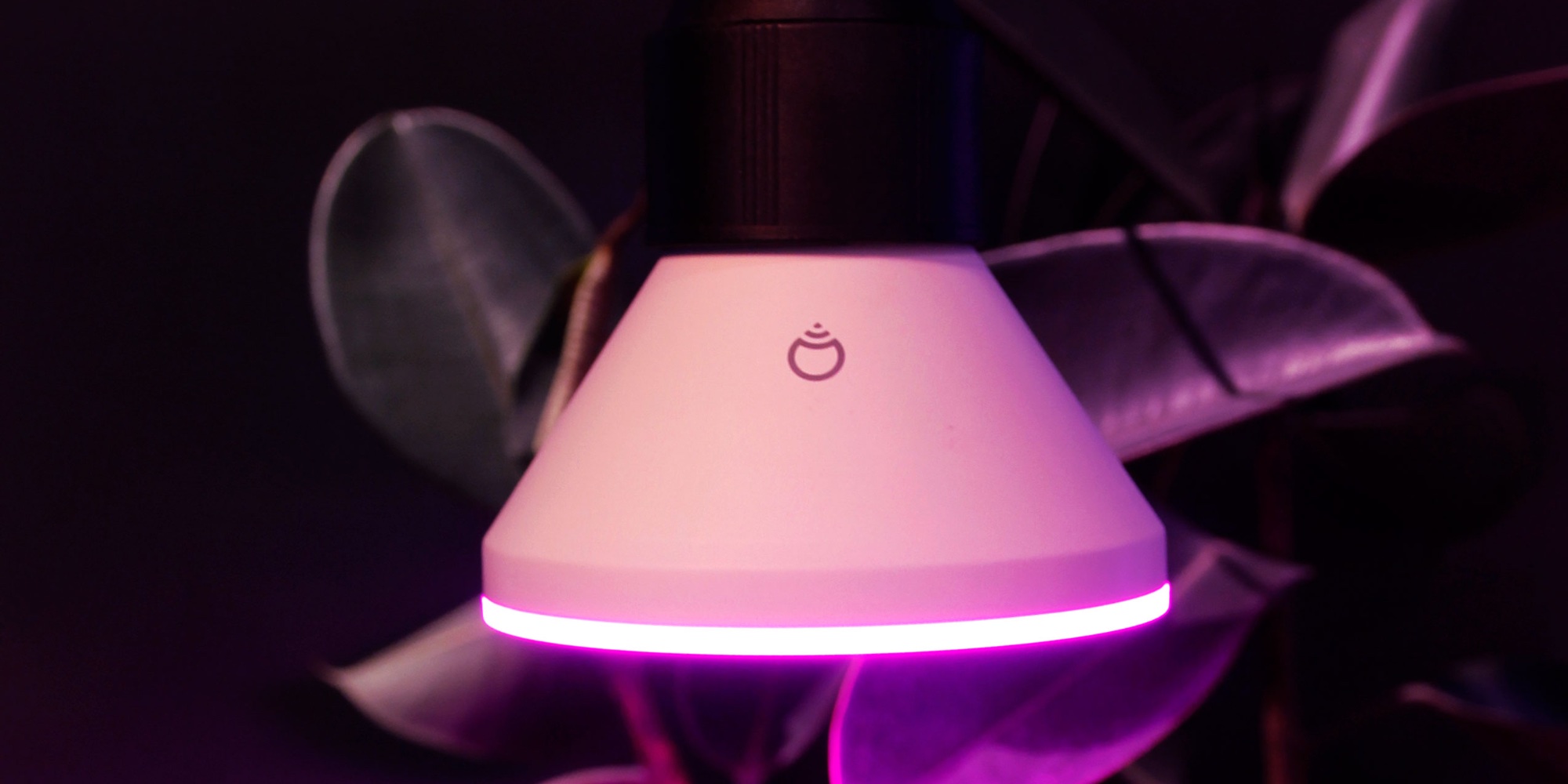 LIFX Matter Light Bulbs debut with indoor and outdoor designs