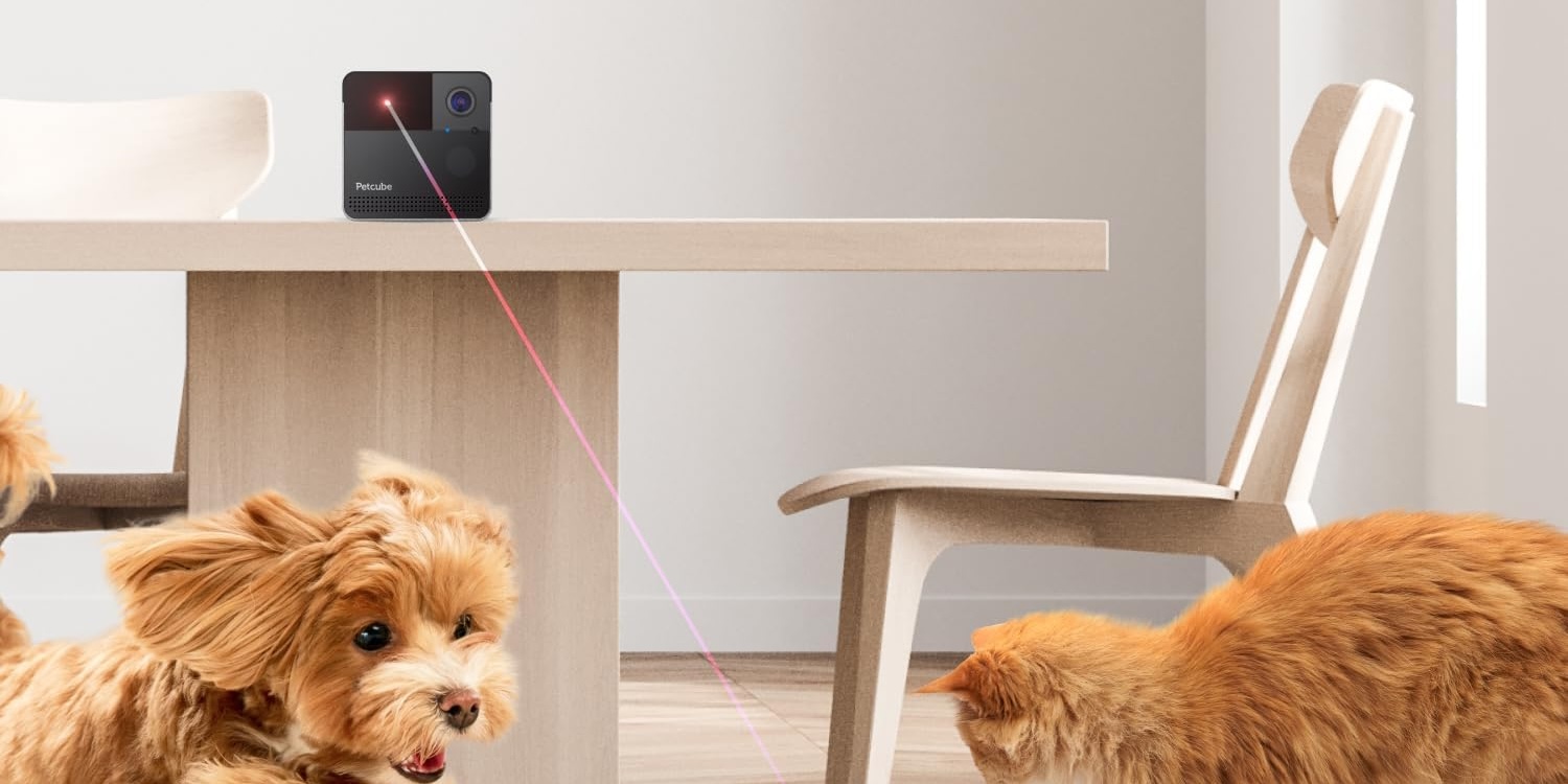 Petcube's smart pet cams now up to $136 off: Laser toy, 360-degree ...