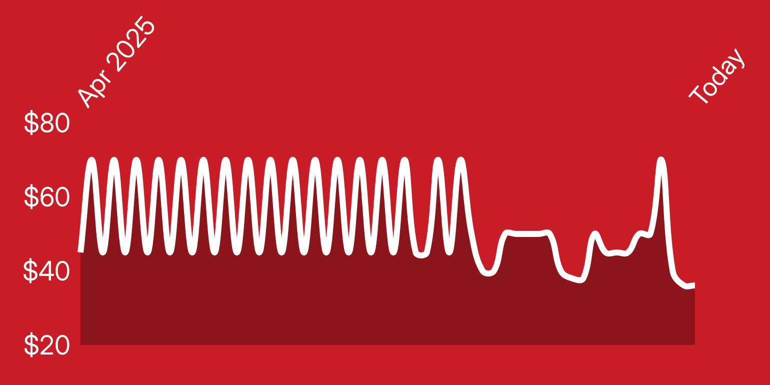 Always get a perfect cook with Govee’s latest digital wireless meat ...